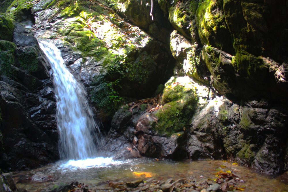 Cascada Shushupe » Recurso Turístico - Huánuco, Huamalies, Monzón